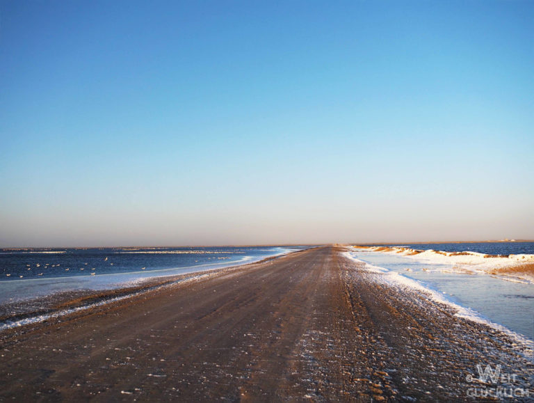 Ausflüge von Walvis Bay: Flamingos und Salinen • weitglücklich