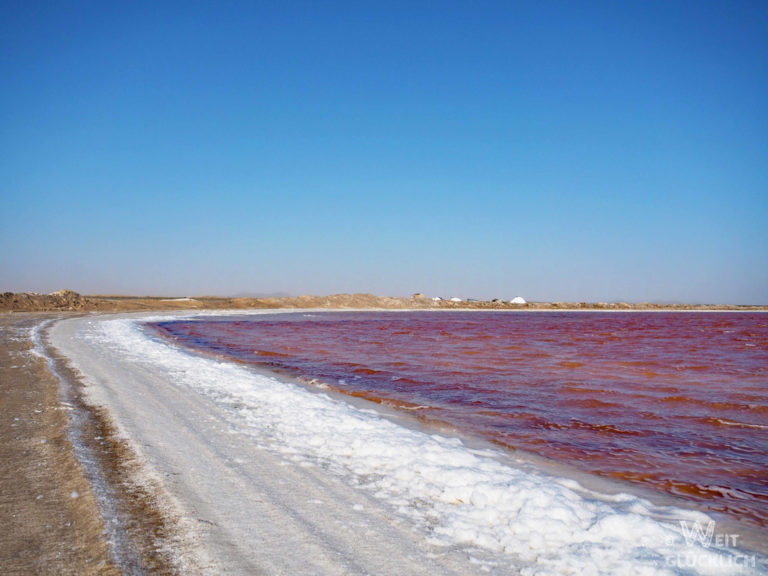 Ausflüge von Walvis Bay: Flamingos und Salinen • weitglücklich