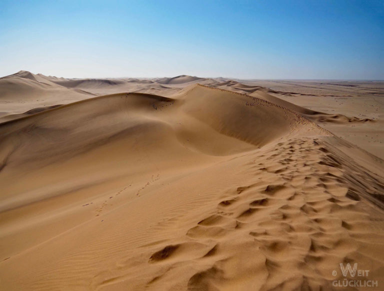 Ausflüge von Walvis Bay: Flamingos und Düne 7 • weitglücklich